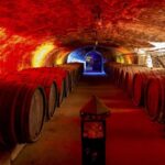 Trier: Mosel wine meets history  wine tour with cellar visit - The Itinerary in Detail