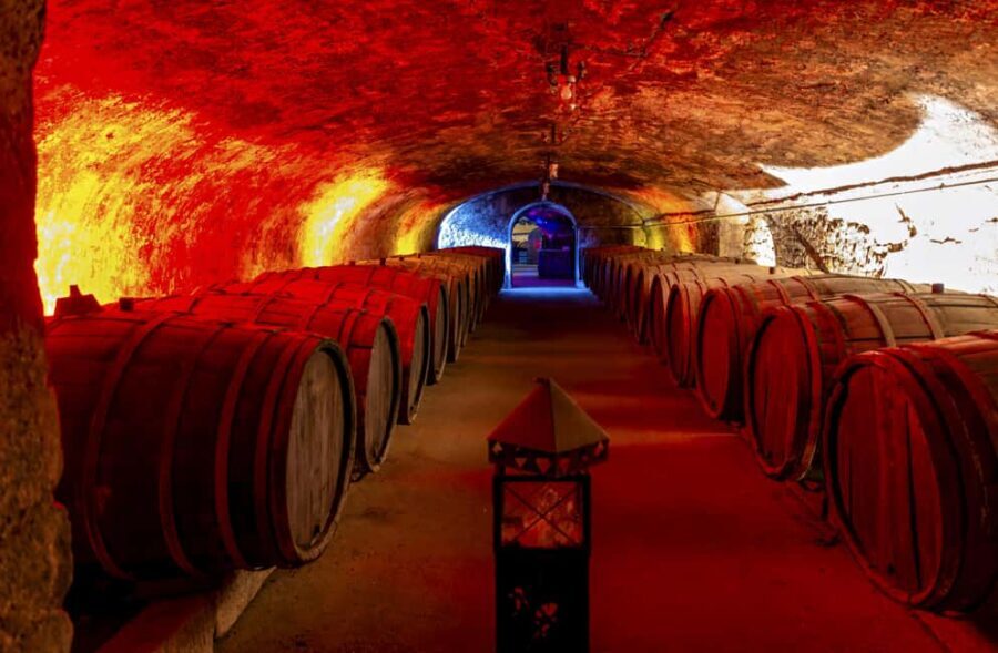 Trier: Mosel wine meets history  wine tour with cellar visit - The Itinerary in Detail