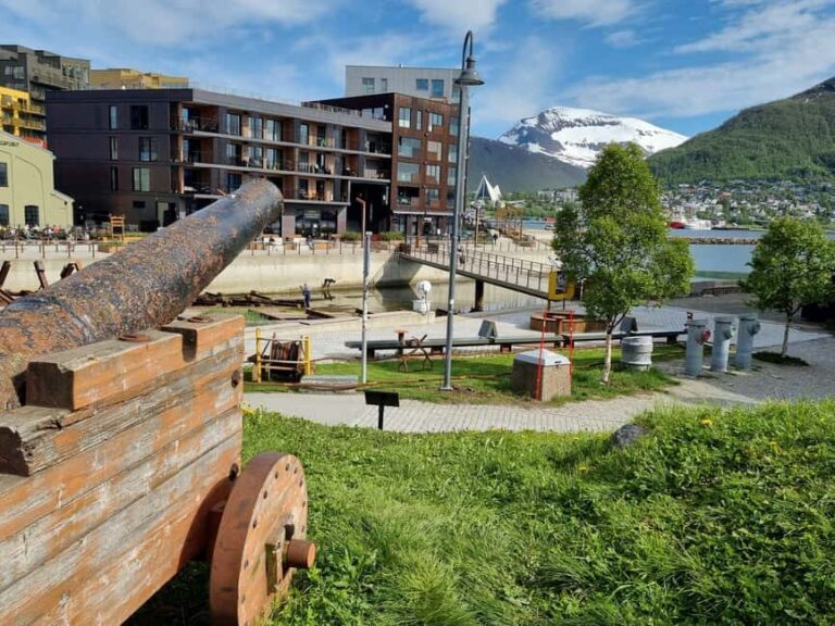 Tromsø: Arctic Cathedral and City Walking Tour - An In-Depth Look at the Tromsø Tour Experience