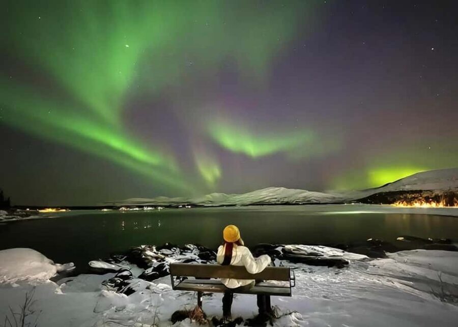 Tromsø: Arctic Experience 4-in-1 Package - The Value of the Tour