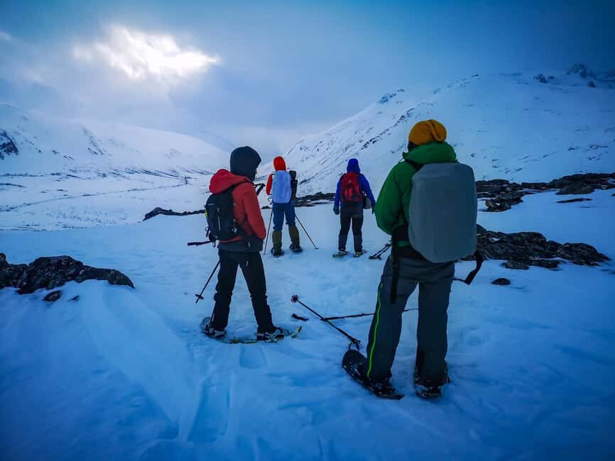 Tromsø: Arctic Snowshoeing Experience - What Makes This Tour Stand Out?