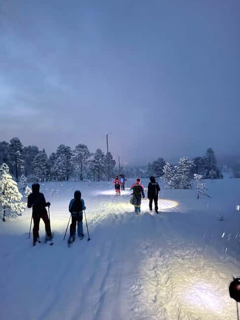 Tromsø: Artic Terrain Snowshoe Expedition with Local Guides