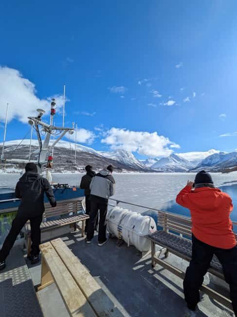 Tromsø: Christmas Cruise in the Arctic Fjords - Wildlife Watching: Nature’s Holiday Gifts