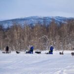 Tromsø: Dog Sledding Adventure at Camp Aspemo - The Itinerary in Detail