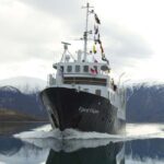 Tromsø: Evening Polar Expedition & Northern Lights Cruise - Practical Tips for Travelers
