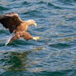 Tromsø: Evening Sightseeing Cruise All-inclusive - Comfort and Practicalities