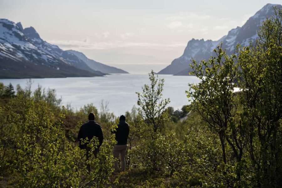 Tromsø: Fjord Tour to Sommarøy with Expert Spanish-speaking Guide - The Sum Up