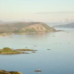 Tromsø: Fjord tour to Sommarøya - Wildlife Encounters in the Arctic Wild