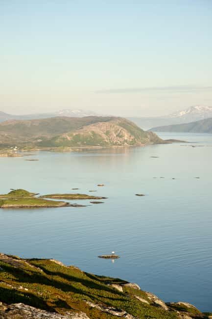 Tromsø: Fjord tour to Sommarøya - Wildlife Encounters in the Arctic Wild