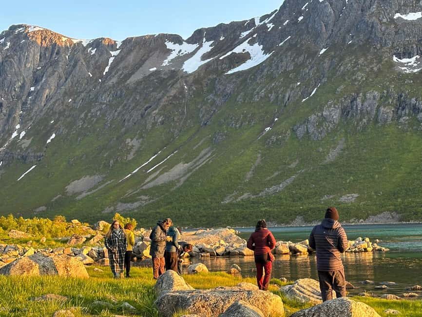 Tromsø: Fjords and Wildlife Tour in a Minibus - Why This Tour Offers Value