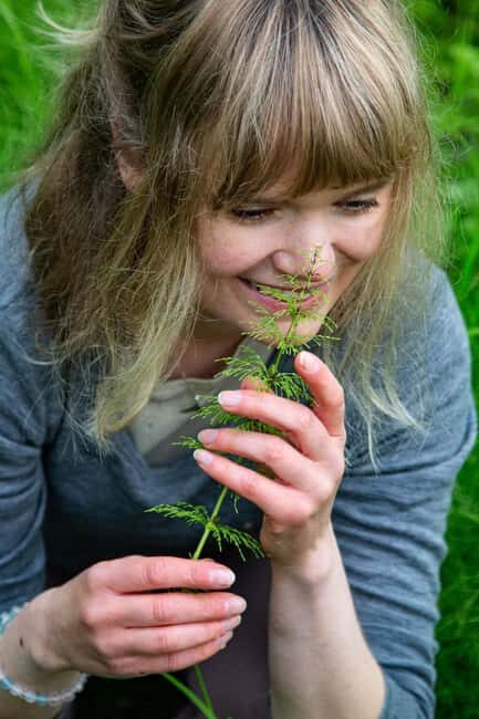 Tromsø: Guided Forest Bathing Experience - The Itinerary: What to Expect
