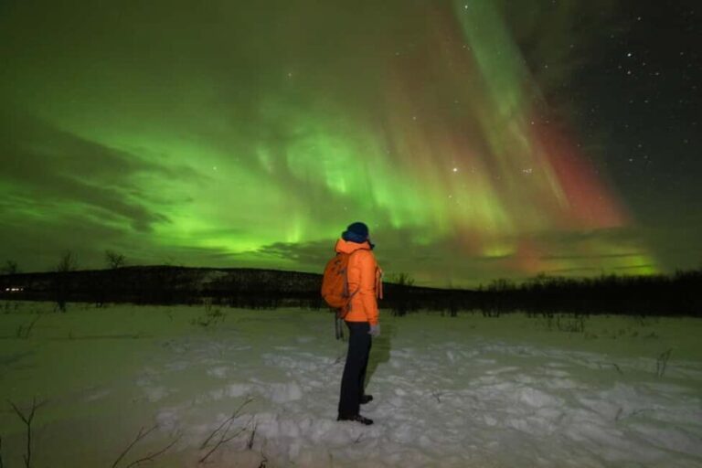 Tromsø: Northern Lights tour, local experts, free photos - What You Can Expect on This Tromsø Northern Lights Tour
