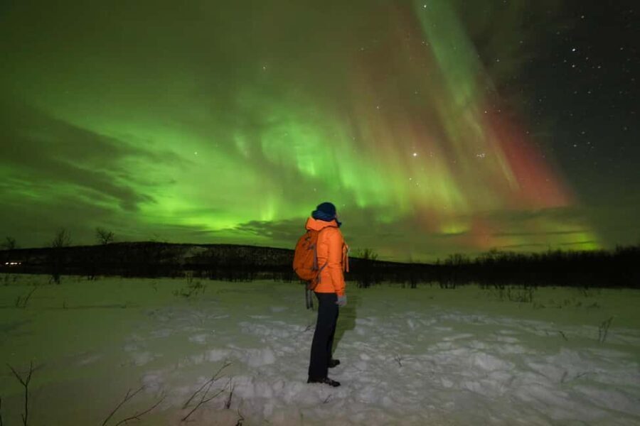 Tromsø: Northern Lights tour, local experts, free photos - What You Can Expect on This Tromsø Northern Lights Tour