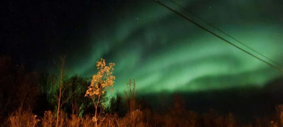 Tromsø: Northern Lights Tour with Photos & Snacks - Authentic Touches and Practicalities