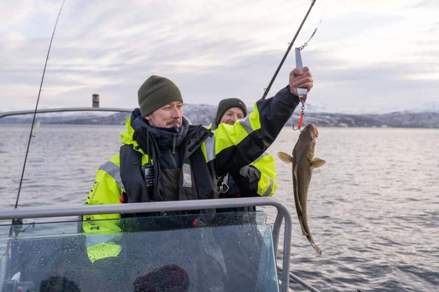Tromsø: Private Fishing Tour - Authenticity and Genuine Experience From Real Travelers