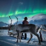 Tromsø: Sami Culture, Northern Lights and Reindeer Feeding - The Value of the Tour