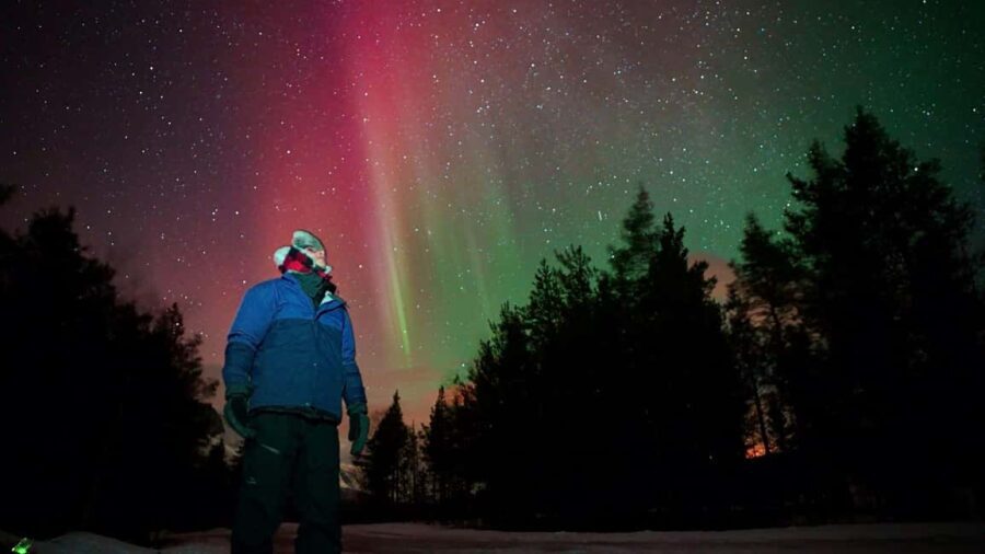 Tromsø: Small-Group Aurora Tour with Free Photos (7 Hours) - Final Thoughts: Is This Tour for You?