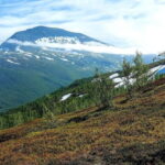 Tromsø Street to Summit: Fløya Mountain Guided Hike - The Scenic Route and Highlights