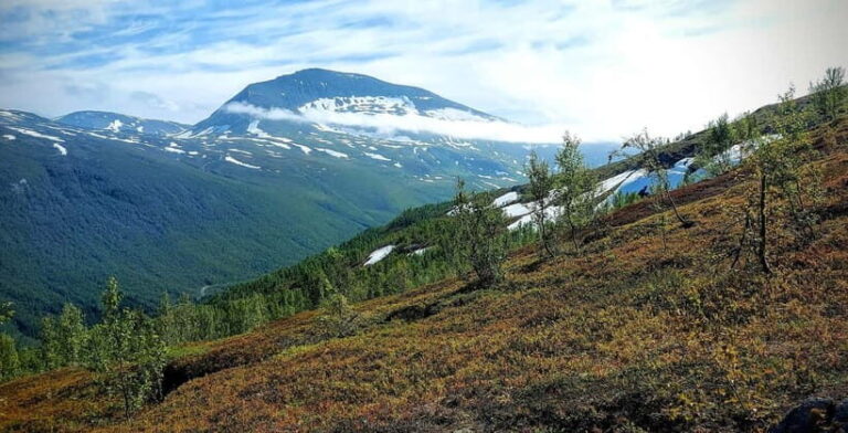 Tromsø Street to Summit: Fløya Mountain Guided Hike - The Scenic Route and Highlights
