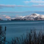 Tromso: Visit 5 Fjords in 4 hours - Analyzing the Value