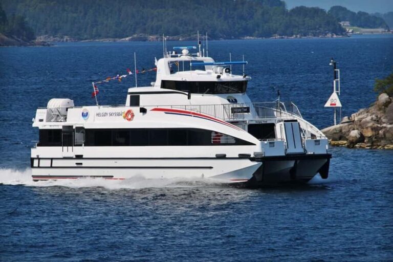 Tromsø: Whale Watching - fast and comfortable catamaran - Wildlife & Landscape: More Than Just Whales