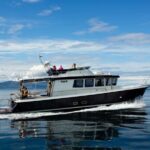 Tromsø: Whale Watching VIP Boat Tour with Lunch - A Close Encounter with Arctic Marine Life
