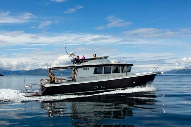 Tromsø: Whale Watching VIP Boat Tour with Lunch - A Close Encounter with Arctic Marine Life