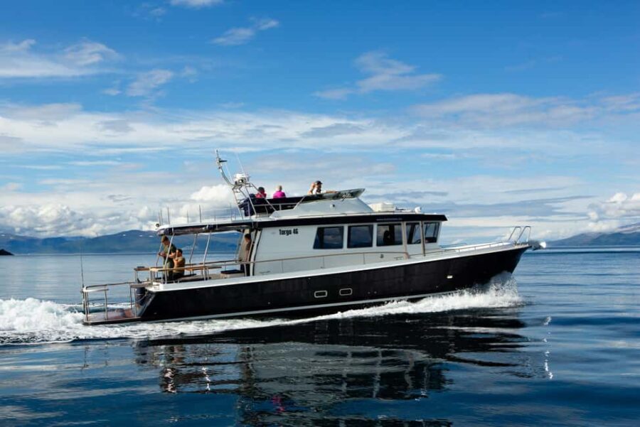 Tromsø: Whale Watching VIP Boat Tour with Lunch - A Close Encounter with Arctic Marine Life