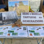 Truffle hunting in the Langhe - Truffle hunting with a real trifulau - How the Tour Is Organized and What You Get
