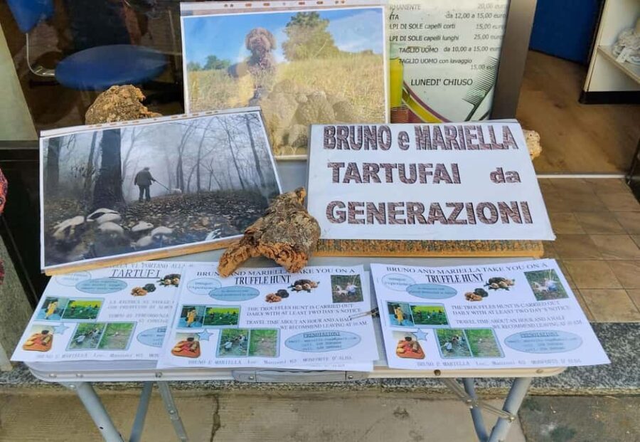 Truffle hunting in the Langhe - Truffle hunting with a real trifulau - How the Tour Is Organized and What You Get