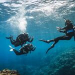Try Scuba Diving from Boat in Budva - Budva Diving Center - Why This Tour Stands Out