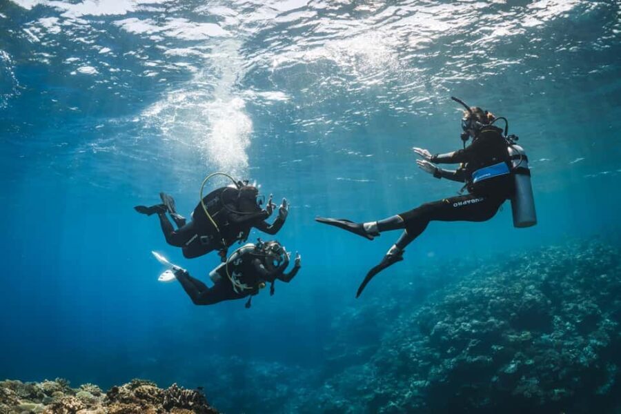Try Scuba Diving from Boat in Budva - Budva Diving Center - Why This Tour Stands Out