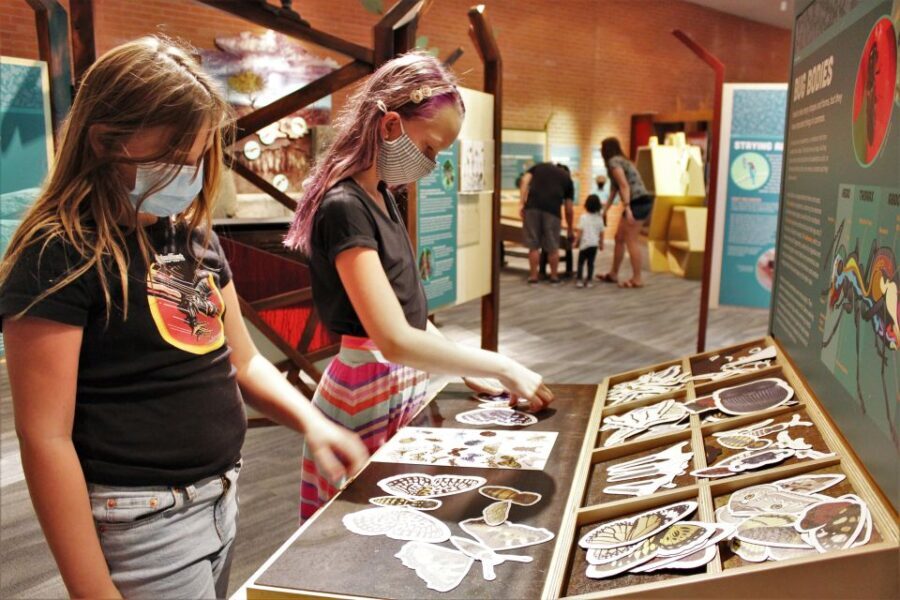 Tucson: Flandrau Science Center Entry Ticket - A Detailed Dive into the Flandrau Experience