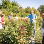 Tulln: DIE GARTEN TULLN Entry Ticket and Audio Guide - The Sum Up