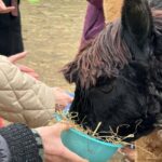 Turin: meeting with alpacas on an educational farm with an expert tour guide - Who Will Love This Experience?