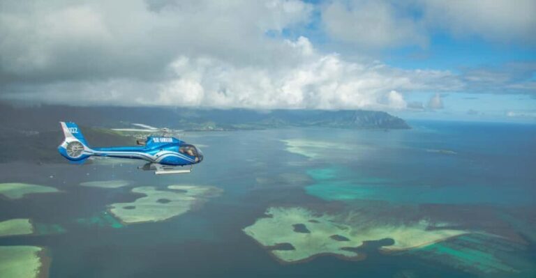 Turtle Bay: North Shore Helicopter Tour - Pricing and Value: What It Means for You