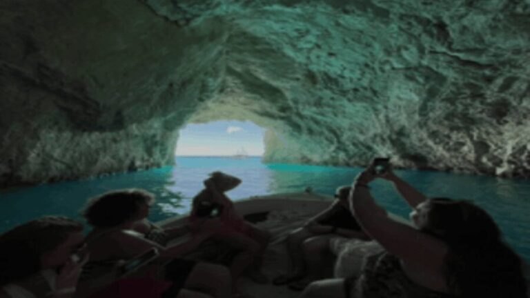 Turtle Cruise from 9 am or 12 noon or 3 pm for 3 hours - What the Experience Provides for the Price