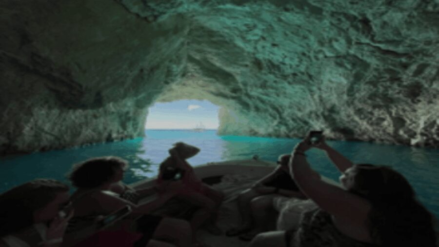 Turtle Cruise from 9 am or 12 noon or 3 pm for 3 hours - What the Experience Provides for the Price