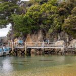 Ulva Island Explorer from Stewart Island - Authentic Experiences and Practical Considerations