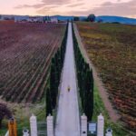 Umbria: Guided wine tasting ColSanto - The Guided Tour: Education with a Personal Touch