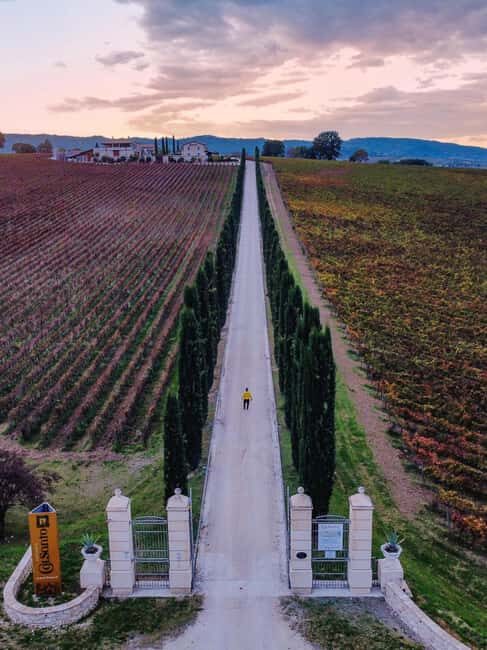 Umbria: Guided wine tasting ColSanto - The Guided Tour: Education with a Personal Touch