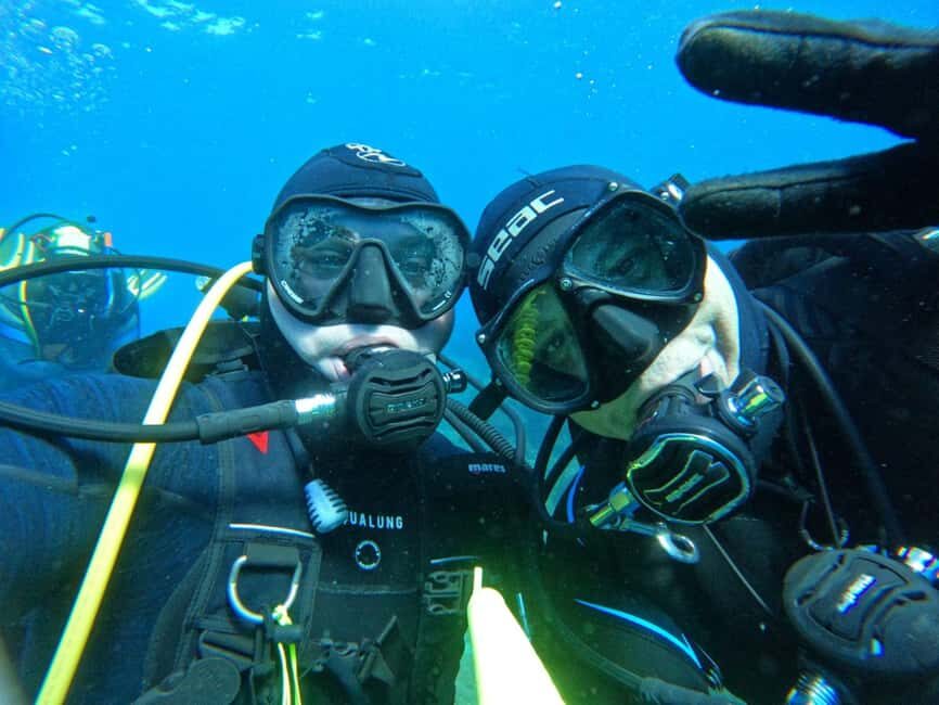 Underwater Archaeological Tour: Acicastello (CT) - Marine Life and Ecosystem