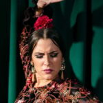 Unforgettable Seville: Tour of Seville and the Jewish Quarter + Flamenco Party Show - Who Will Love This Tour?
