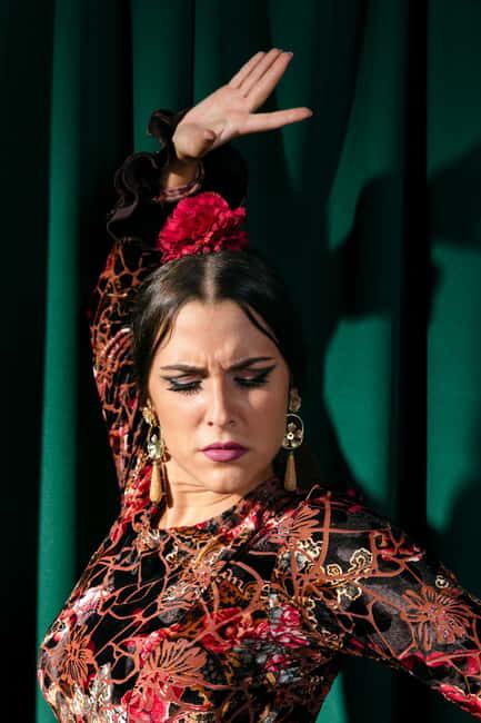 Unforgettable Seville: Tour of Seville and the Jewish Quarter + Flamenco Party Show - Who Will Love This Tour?