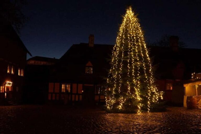 Unique Christmas Market in the Old City in Aarhus - Who Will Love This Tour?