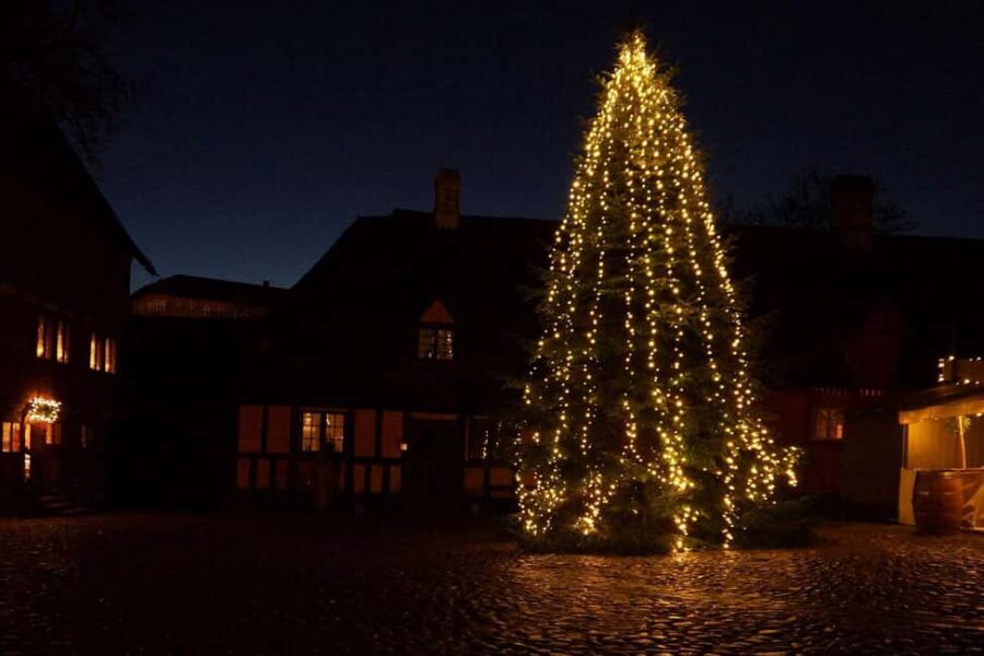 Unique Christmas Market in the Old City in Aarhus - Who Will Love This Tour?