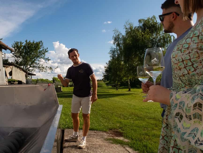 Valdobbiadene - Visit to the winery and tasting of DOCG Superiore wines - The Itinerary in Detail