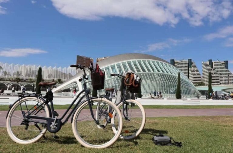 Valencia: Full-Day E-Bike Rental (9:30AM20:00PM) - Understanding What’s Included and Additional Costs