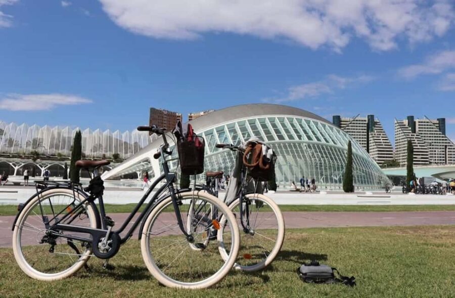 Valencia: Full-Day E-Bike Rental (9:30AM20:00PM) - Understanding What’s Included and Additional Costs