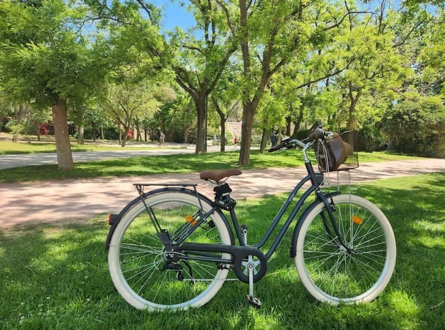 Valencia Volt Bike Rental: 4-Hour Bike Rental - The Sum Up: Is This the Right Choice for You?